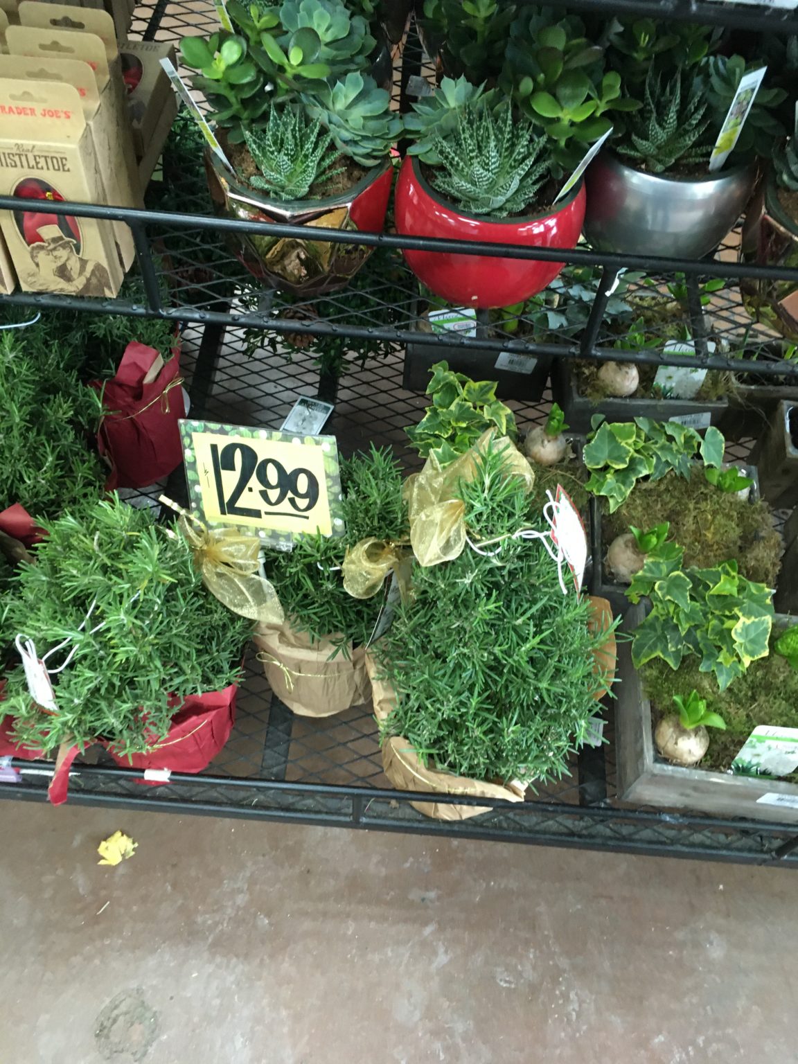 Trader Joe's Plants - Trader Joe's Reviews Trader Joe's Plants - Trader Joe's Reviews